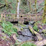 Maple Valley Loop, Washington - 230 Reviews, Map | AllTrails
