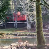 Maple Valley Loop, Washington - 230 Reviews, Map | AllTrails