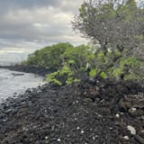 Ala Kahakai National Historical Trail, Hawaii, Hawaii - 348 Reviews ...