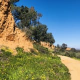 Encinitas Ranch Trail, California - 859 Reviews, Map | AllTrails