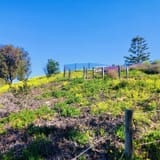 Encinitas Ranch Trail, California - 859 Reviews, Map | AllTrails