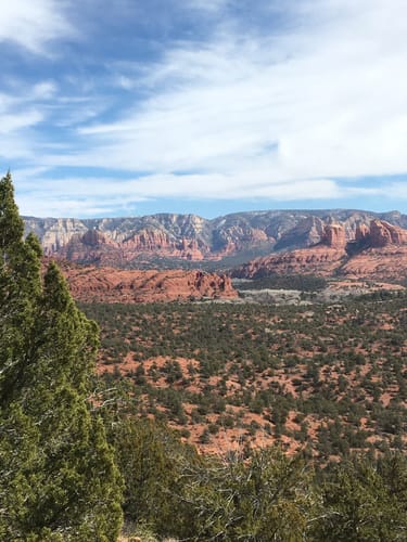 2023 Best Historic Site Trails in Coconino National Forest | AllTrails