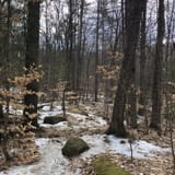 Boston Lot Lake, New Hampshire - 663 Reviews, Map | AllTrails
