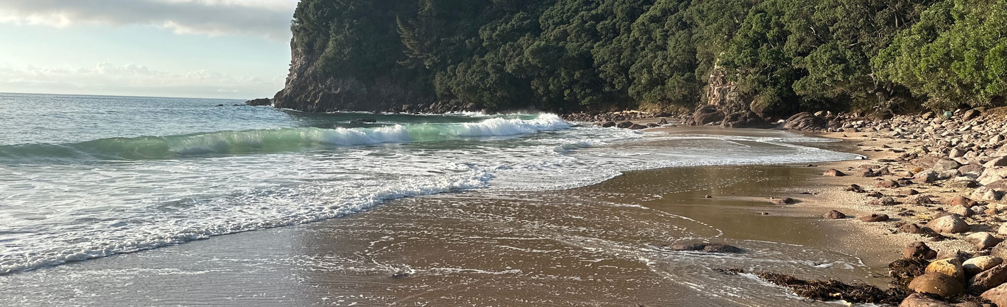 Pakahakaha Bay Walk, Waikato, New Zealand - 15 Reviews, Map | AllTrails
