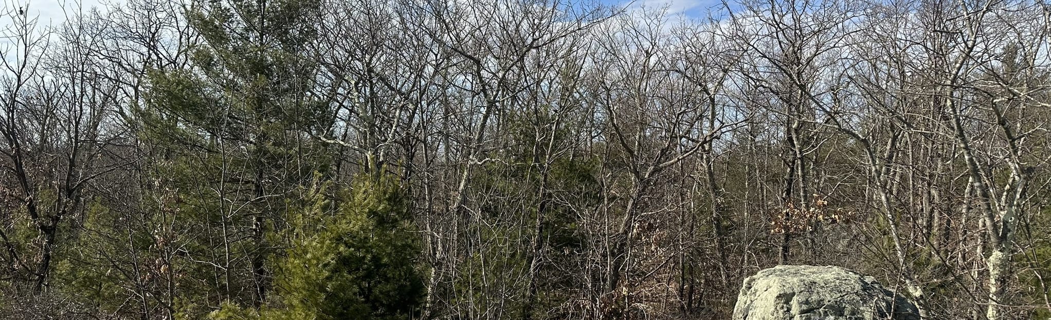 Pinnacle Hill Loop, Massachusetts - 260 Reviews, Map | AllTrails