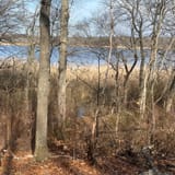 Ryan Park Loop, Rhode Island - 422 Reviews, Map | AllTrails
