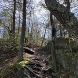 Leatherman Cave and Crane's Lookout Trail, Connecticut - 839 Reviews ...