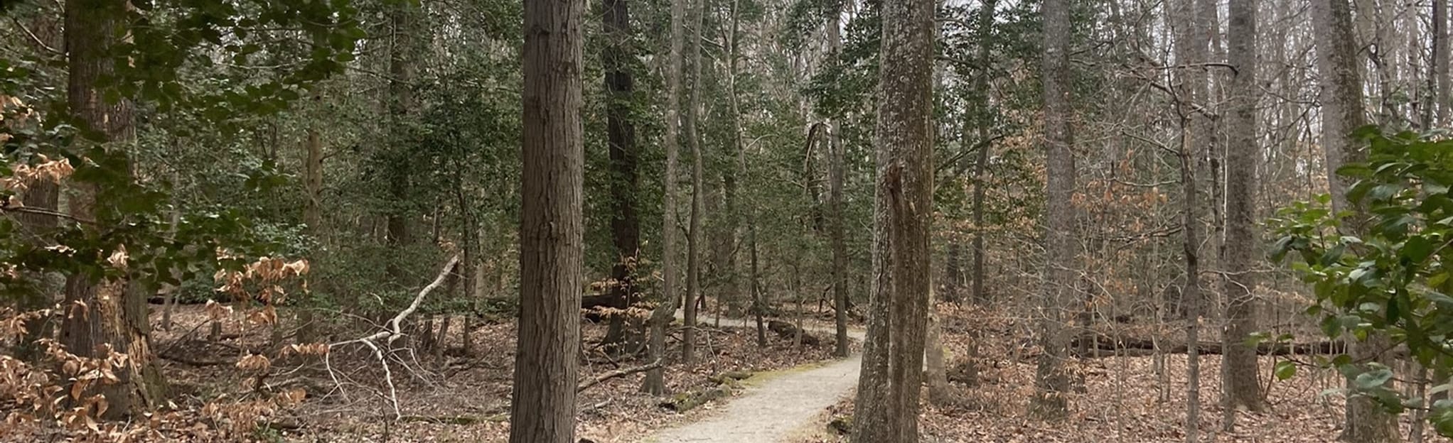 Dogue Trail, Virginia - 75 Reviews, Map | AllTrails