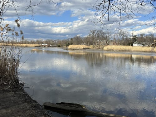 Best Hikes and Trails in Hackensack River County Park | AllTrails
