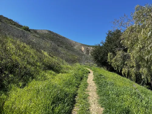 Best Hikes and Trails in North Ranch Open Space | AllTrails