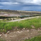 Lewis S Eaton Trail, California - 847 Reviews, Map | AllTrails