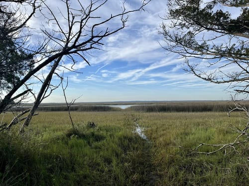 Best Hikes and Trails in Cedar Point Preserve | AllTrails