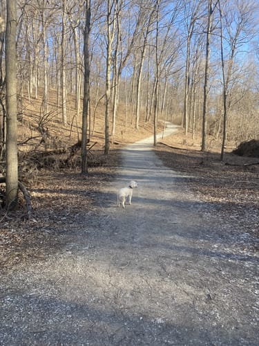 2023 Best trails in Faust County Park | AllTrails