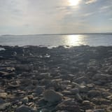 Timber Point, Maine - 291 Reviews, Map | AllTrails