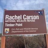 Timber Point, Maine - 291 Reviews, Map | AllTrails