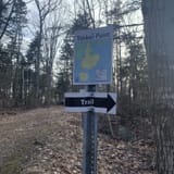 Timber Point, Maine - 291 Reviews, Map | AllTrails