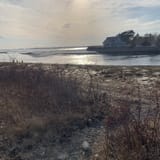 Timber Point, Maine - 291 Reviews, Map | AllTrails