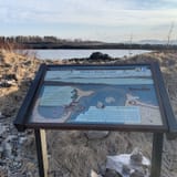 Timber Point, Maine - 291 Reviews, Map | AllTrails