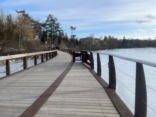 Best Hikes and Trails in Lake Wilcox Park | AllTrails