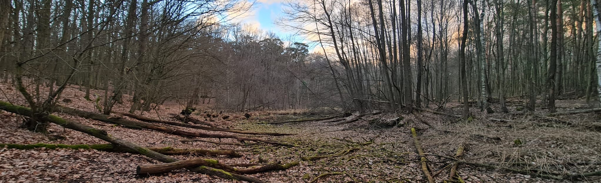 Réserve Naturelle de la Météorite de Morasko : 44 Photos - Voïvodie de ...