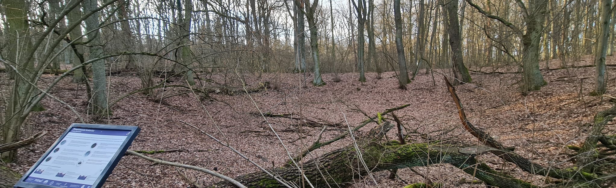 Morasko Meteorite Reserve Trail: 2 Reviews, Map - Greater Poland ...