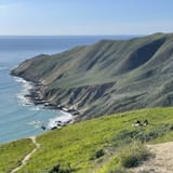 Point Sal Overlook, California - 496 Reviews, Map | AllTrails