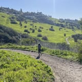 Vanderlip, Ishibashi Farm, Burma Road Loop [CLOSED], California - 434 ...