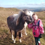 Long Mynd Circular via Bridges, Shropshire, England - 73 Reviews, Map ...
