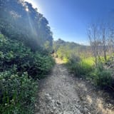 Topanga Canyon Loop , California - 159 Reviews, Map | AllTrails