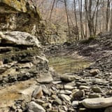 QuiVaLa Elise Falls Trail, Arkansas - 180 Reviews, Map | AllTrails