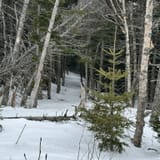 Great Range Loop Trail, New York - 369 Reviews, Map | AllTrails