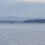 Norrie Point Trail, New York - 499 Reviews, Map | AllTrails