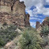 Rogers Canyon Trail via Reavis Ranch Trail, Arizona - 324 Reviews, Map ...