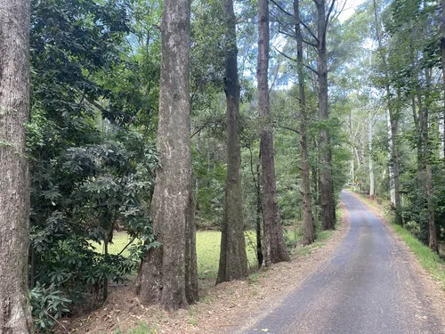 Best Hikes and Trails in Cumberland State Forest | AllTrails