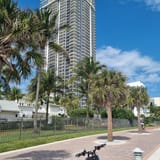 Miami Beach Bike Trail, Florida - 879 Reviews, Map | AllTrails