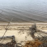 Neusiok Trail Northern Half, North Carolina - 168 Reviews, Map | AllTrails