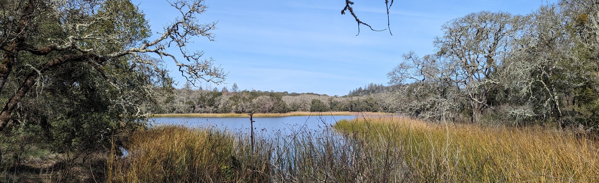 Rough Go Trail Loop via Canyon Trail, California - 679 Reviews, Map ...