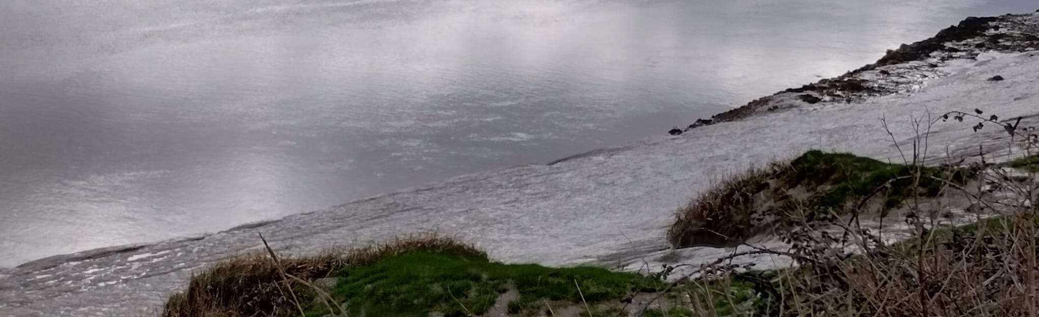 Pawlett and River Parrett Circular: 8 Reviews, Map - Somerset, England ...