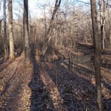 Red Cedar Trail, Illinois - 471 Reviews, Map | AllTrails