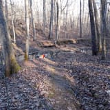 Red Cedar Trail, Illinois - 471 Reviews, Map | AllTrails