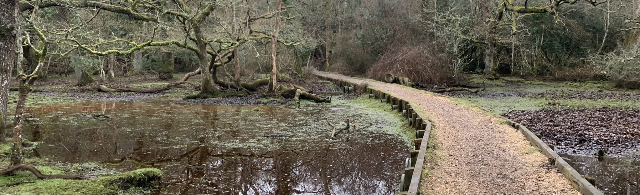 Dibden and King's Hat Inclosures, Hampshire, England - 27 Reviews, Map ...