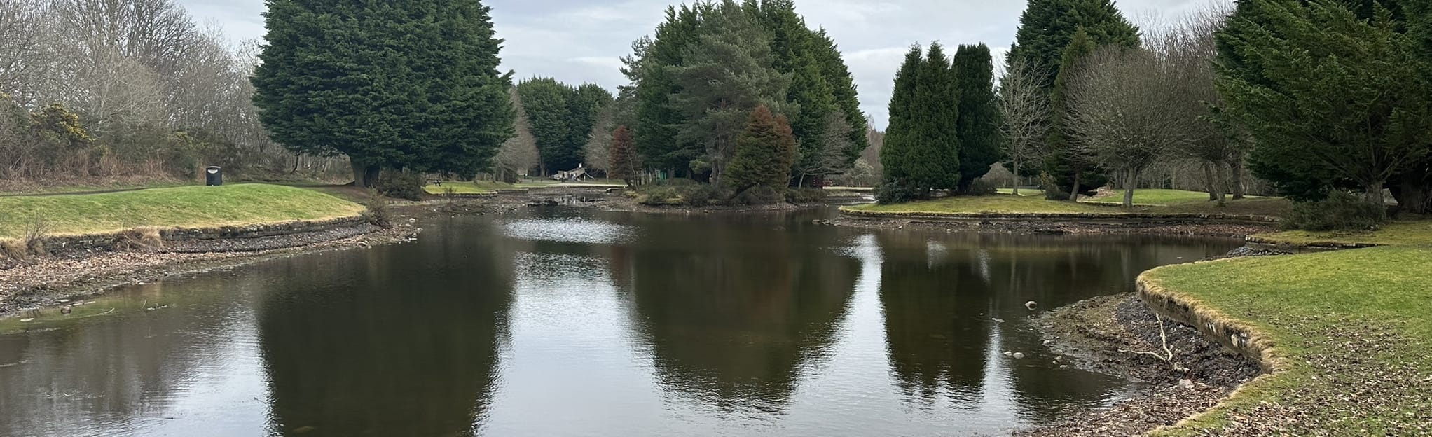 Whin Park Loop, Highlands, Scotland - 2 Reviews, Map | AllTrails