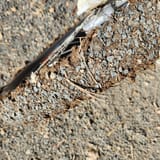 LOBO Trail: Longmont to Boulder Path, Colorado - 424 Reviews, Map ...