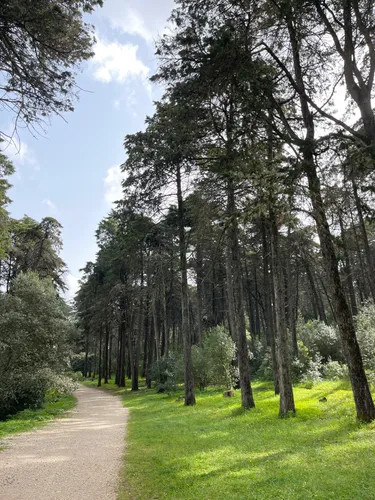 10 Best Hikes and Trails in Monsanto Forest Park | AllTrails