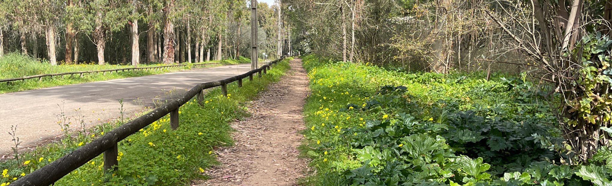 Lisbon West Circular Route, Lisbon, Portugal - 3 Reviews, Map | AllTrails