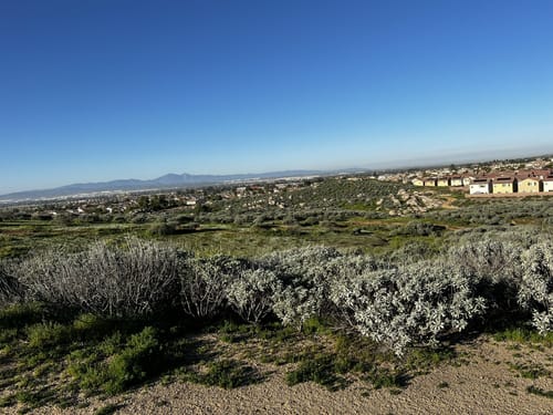 2023 Best 10 Trails and Hikes in Moreno Valley | AllTrails