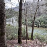 Cartecay River North Loop Trail, Georgia - 300 Reviews, Map | AllTrails