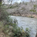 Cartecay River North Loop Trail, Georgia - 300 Reviews, Map | AllTrails