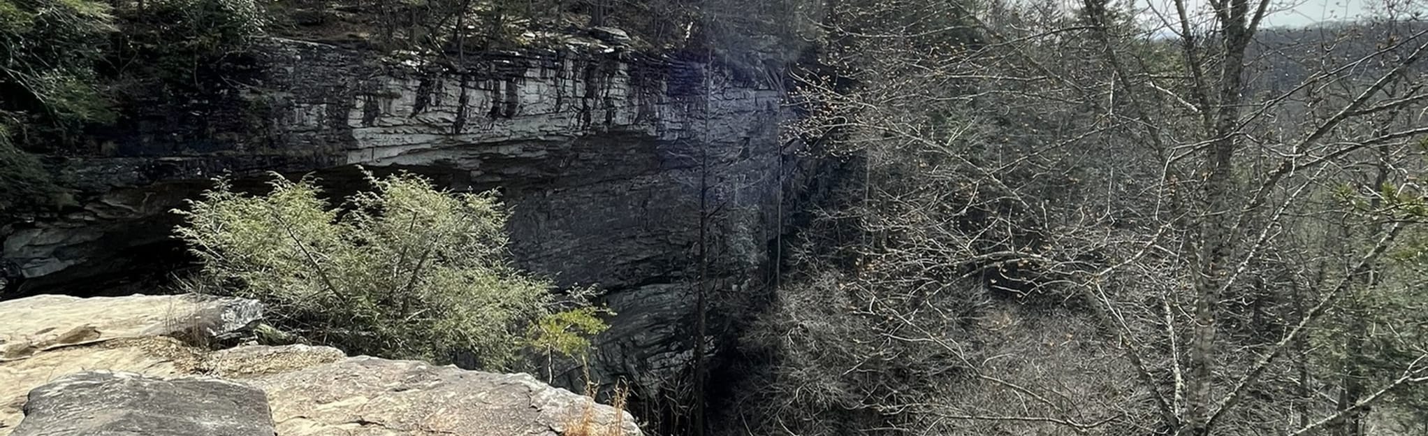 Ozone Falls Trail: 128 Reviews, Map - Tennessee | AllTrails