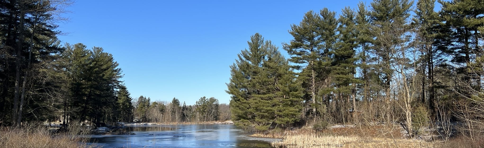 White Tail and Drake Trail Loop, Ohio - 41 Reviews, Map | AllTrails